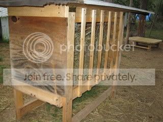 Please post your feeding set-up for your goats | Homesteading Forum