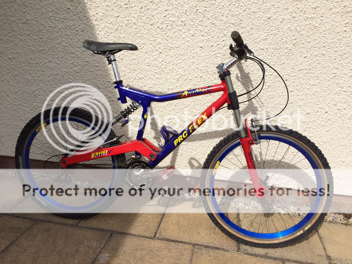 Proflex Animal | Retrobike