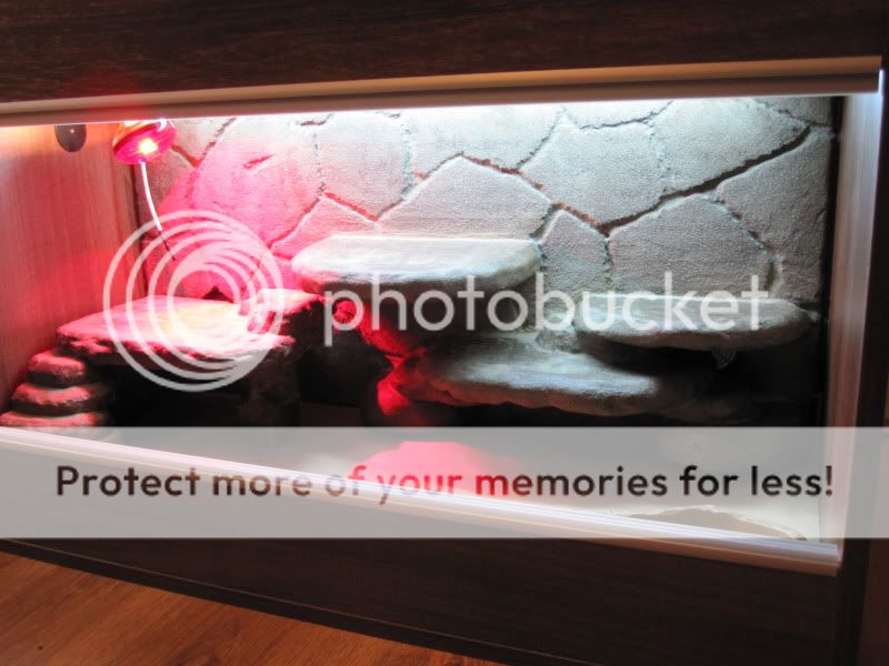 Fake rock background pics | Reptile Forums