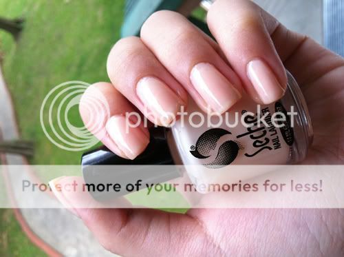 Seche Rose | Mental For Polish