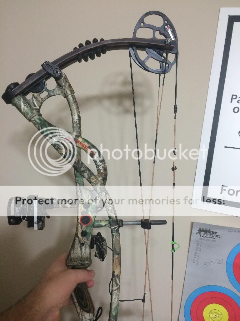 Hoyt Limbs: XTS 500 vs XTS Arc | Archery Talk Forum