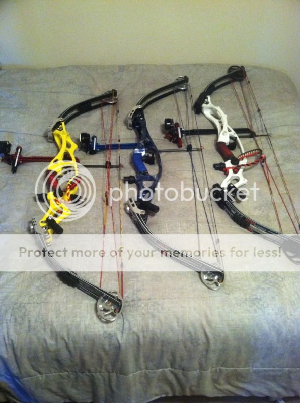 Target sight recommendations - dots - | Page 2 | Archery Talk Forum