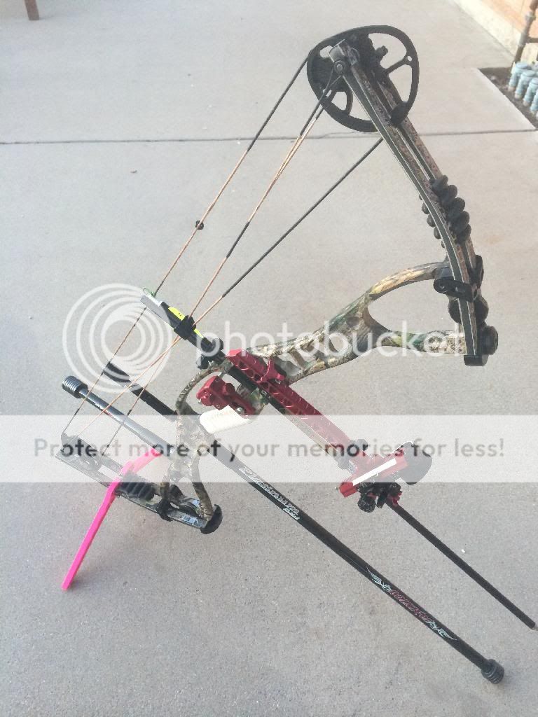 New Build: Hoyt Alphamax RKT 80# | Page 2 | Archery Talk Forum