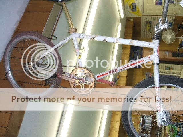 1976 REDLINE Proline Decals-Anyone ??? - BMXmuseum.com Forums