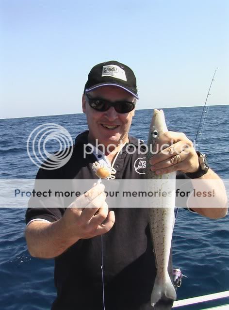 What is your favourite King George Whiting rig and bait | Fishing ...