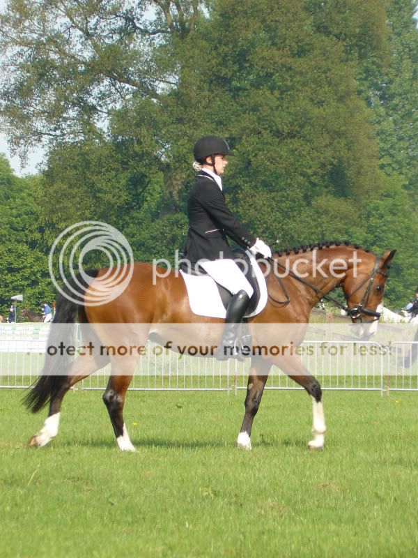 Aduria (Prestige x Flemmingh) en ik @ buitenconcour • Bokt.nl