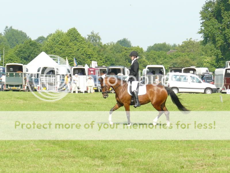 Aduria (Prestige x Flemmingh) en ik @ buitenconcour • Bokt.nl